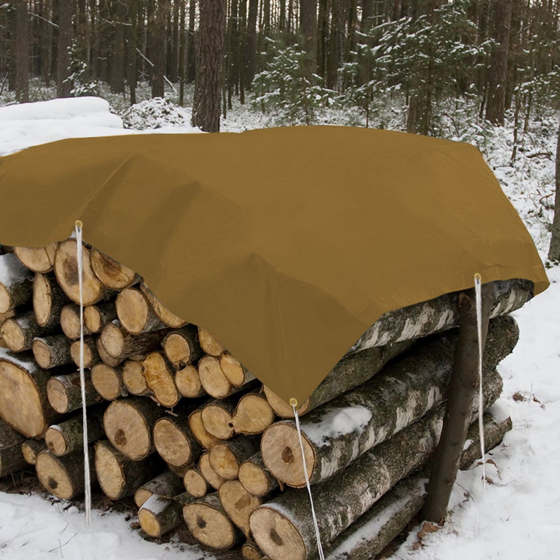 Buy 6' x 8' Heavy Duty Poly Tarps & Get 20% Off | Covers & All