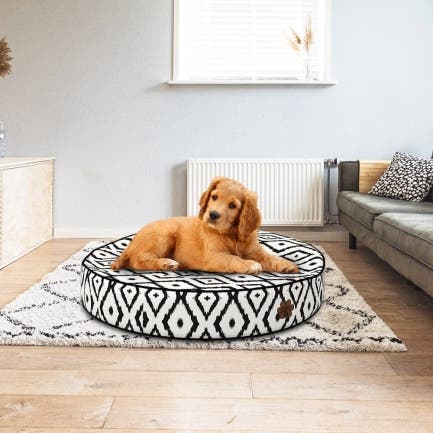 custom dog beds